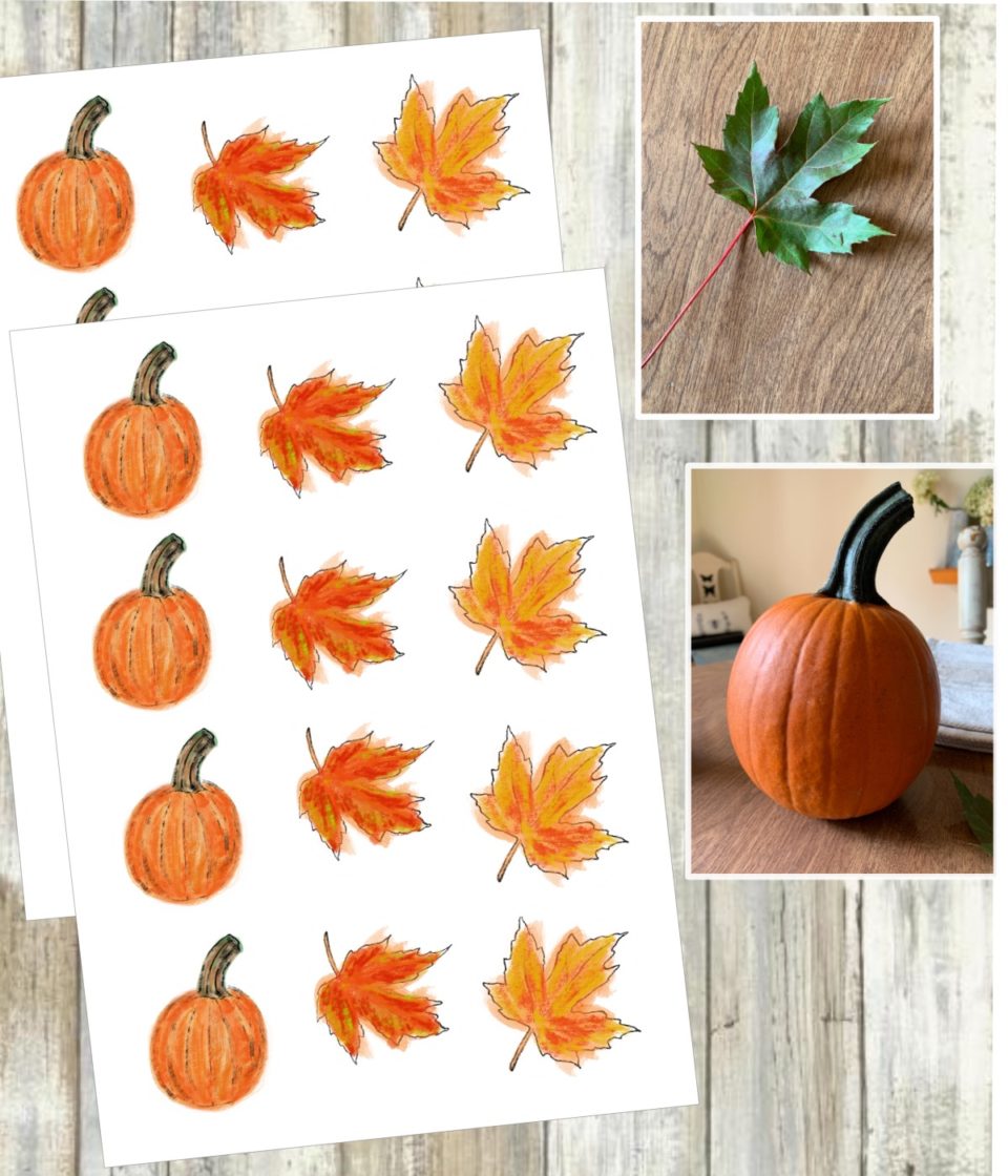 Make Borders for Stickers Super Fast in Procreate 5x - Well Crafted Studio