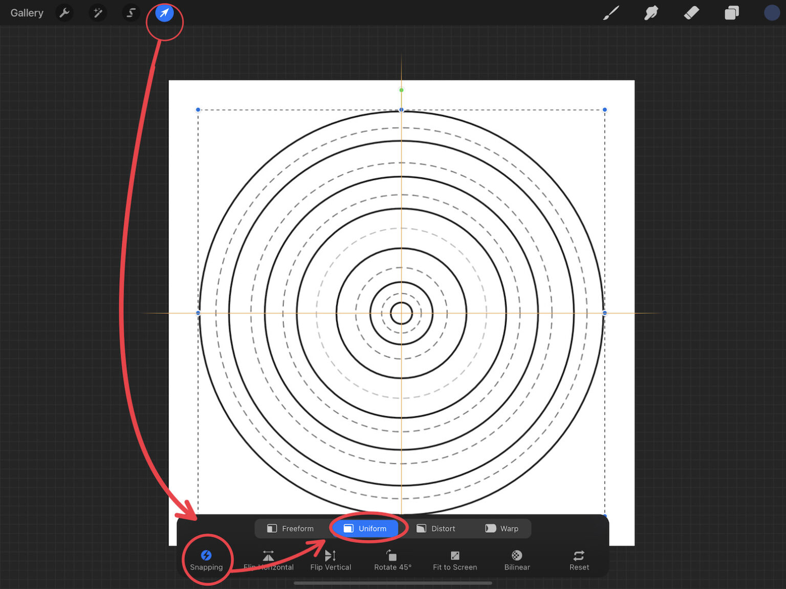 How to Easily Make a Mandala in Procreate Using Symmetry - Well Crafted ...