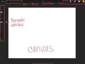 Beginner's Guide to How to Use Procreate - Well Crafted Studio