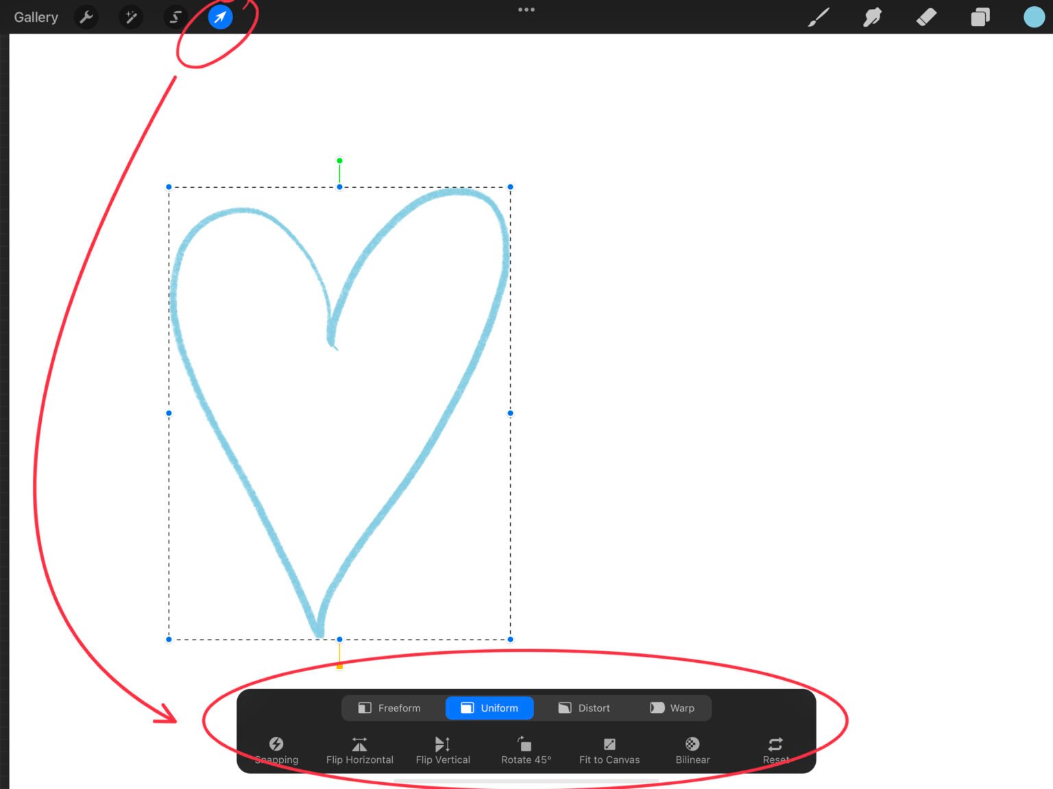 Beginner's Guide to How to Use Procreate - Well Crafted Studio